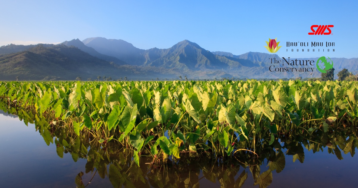 [2024 Report Update] Characterizing Hawaiʻi’s Natural Resou...